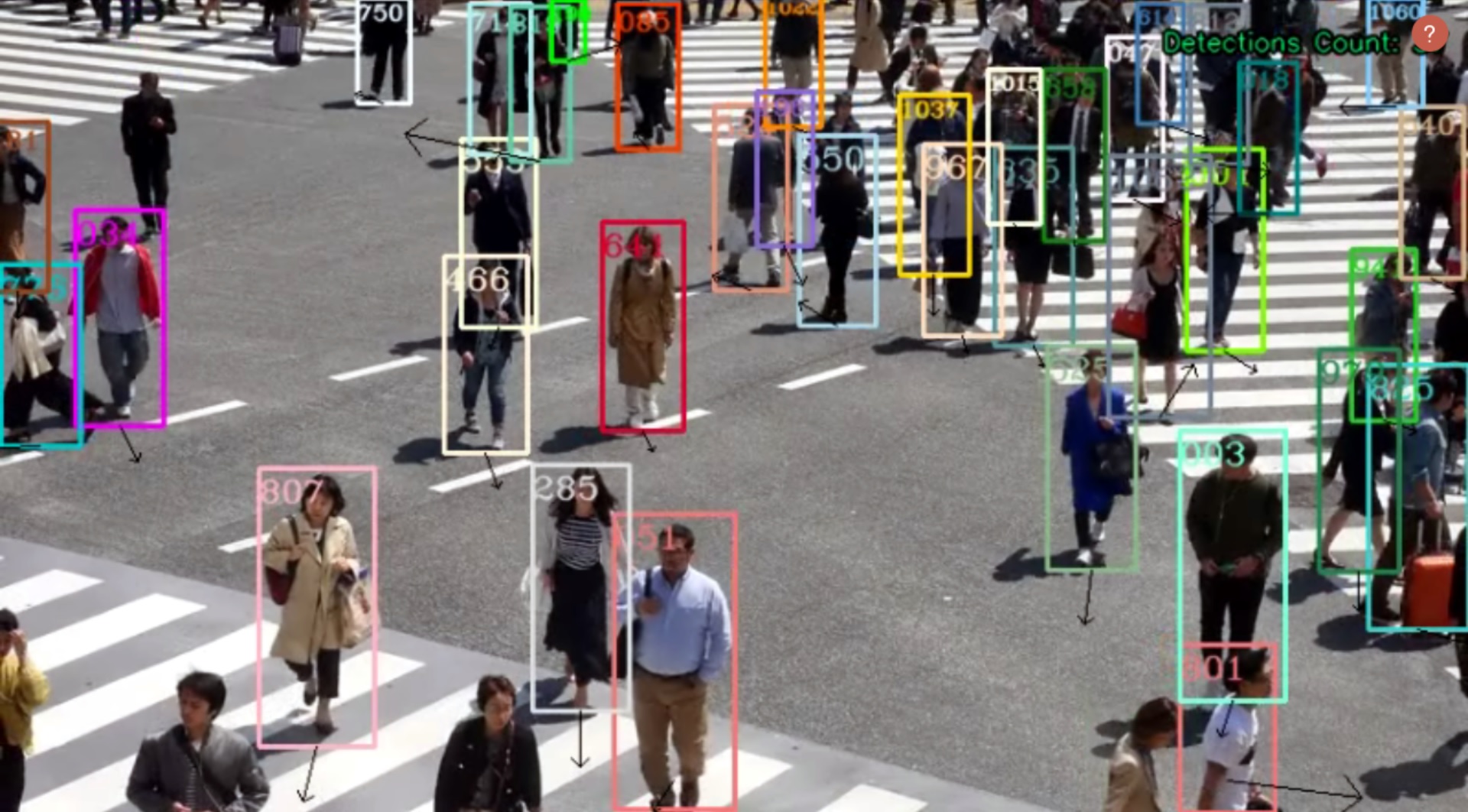 Multiple Object Tracking Demo